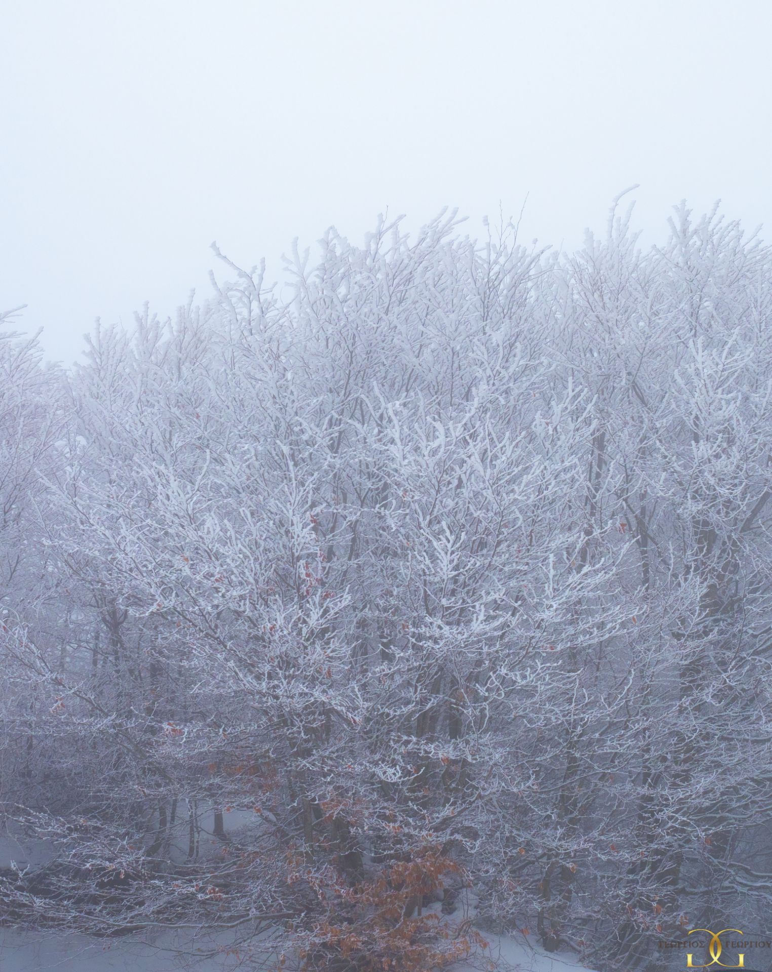 Georgiou Fine Art | Snowy Landscape